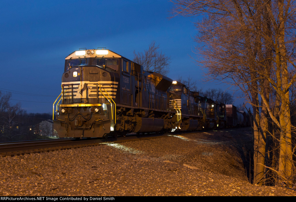 NS 7208 leads 117 manifest.
